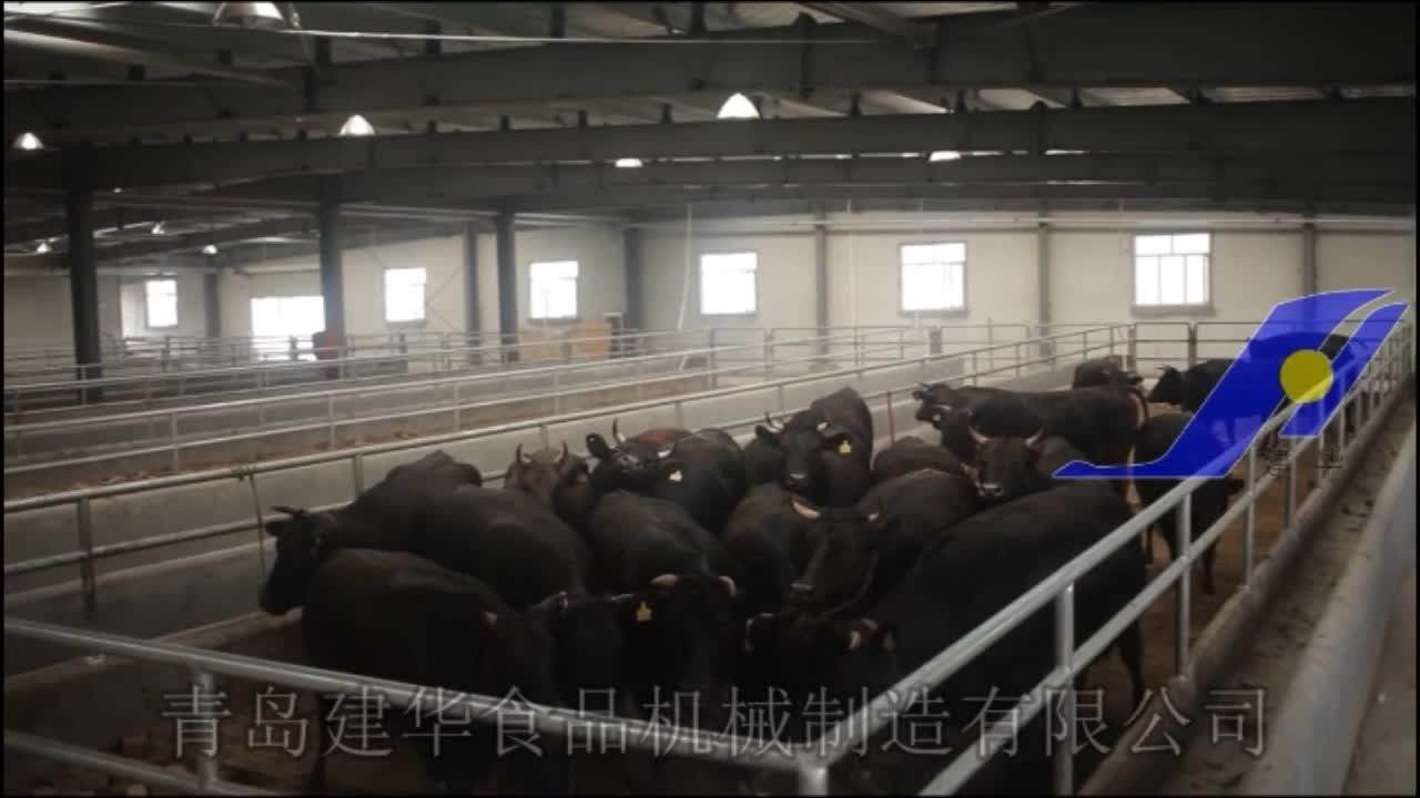 Slaughterhouse Slaughter Equipment Halal Live Cattle Slaughter ...