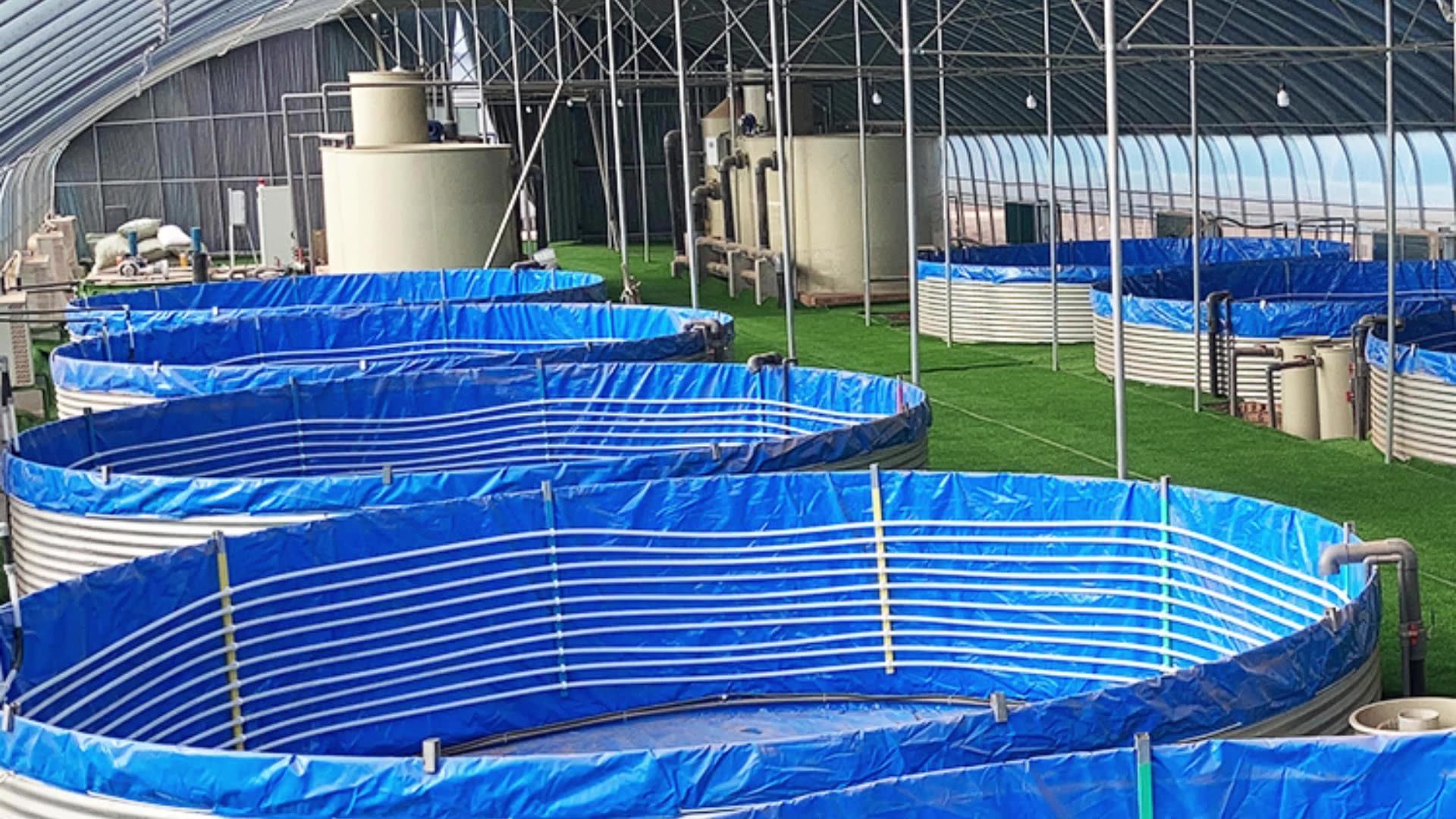 41000 Liter Diameter 6m X Height 1.45m Galvanize Biofloc Tank Large ...