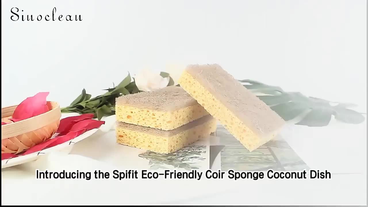 Spifit Eco-friendly Coir Sponge Coconut Dish Scrubber Effective Kitchen ...