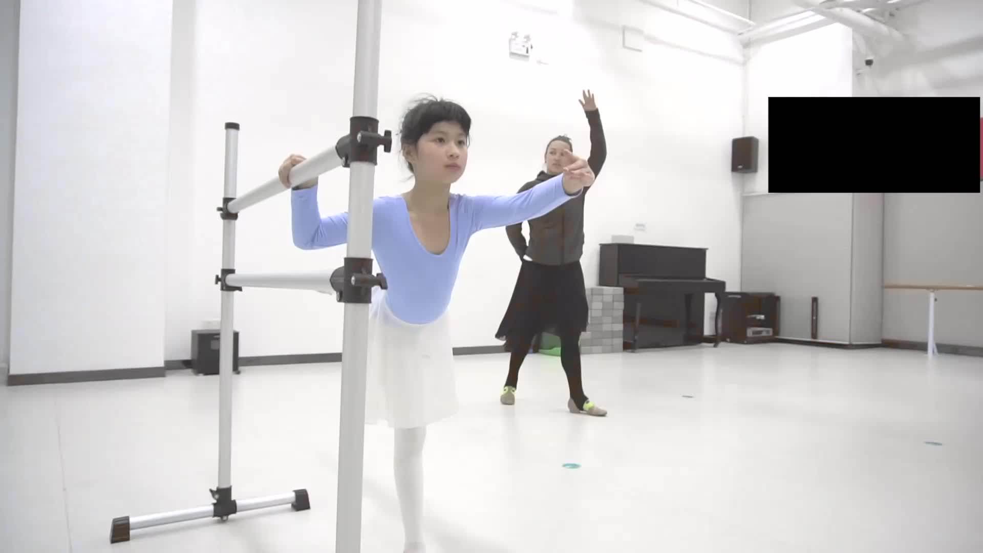 Eastommy Portable Ballet Barre Yoga Stretch Dance Training Bar 4ft ...