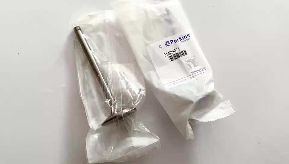 1103/1104 Intake Valve 3142h071 - Buy 3142h071,1103 Intake Valve,1104 ...