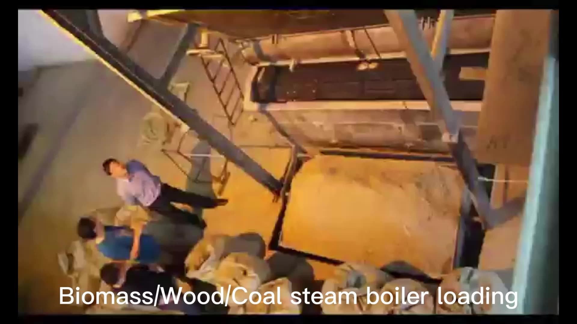 Dzl 1000kg 2000kg 5000kg Automatic Feeding Fuel Industrial Wood Pellet ...