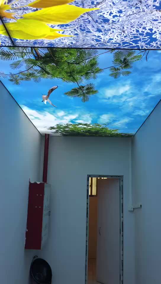 Innovative Product Pvc Stretch Ceiling Film For Printing Decoration ...