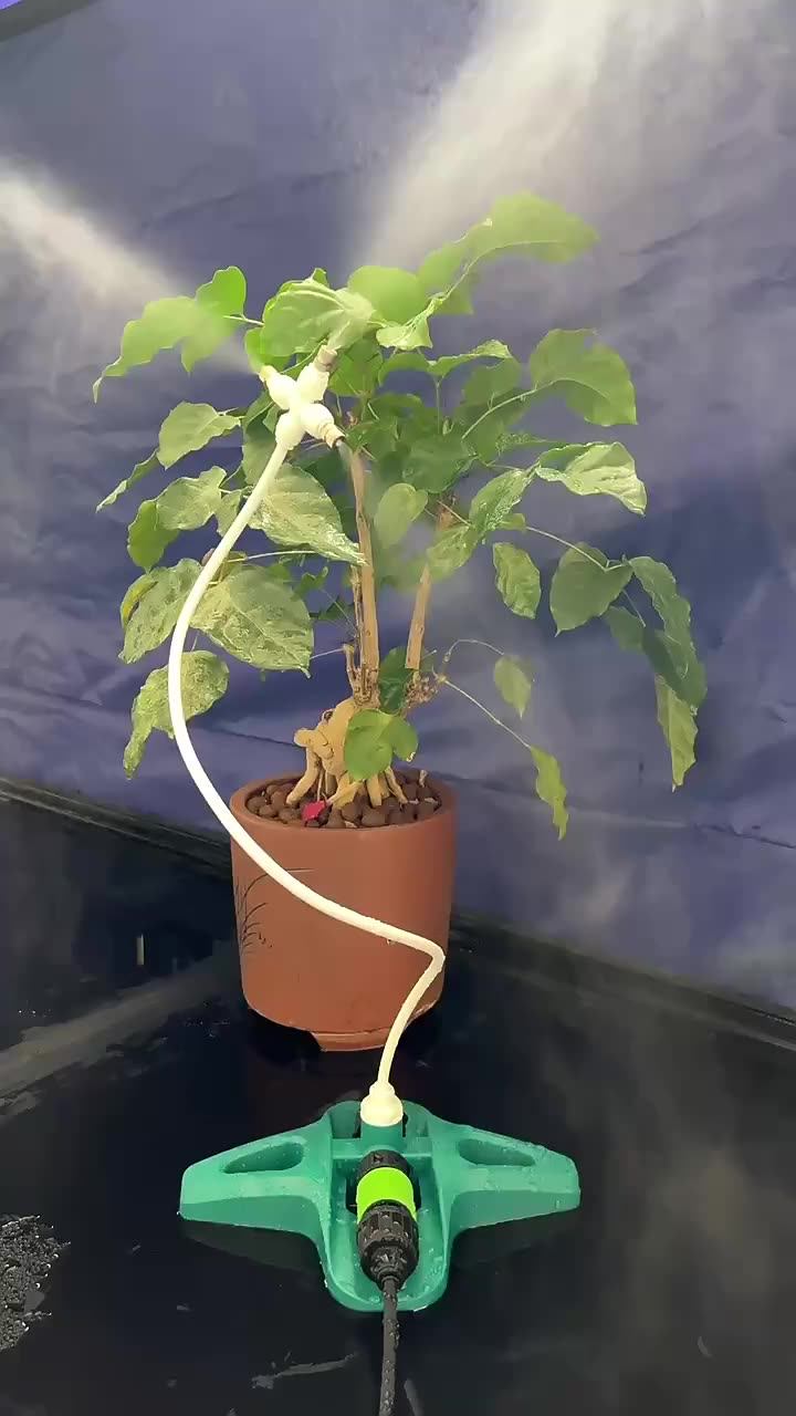 Dll574 Diy Outdoor Mist Irrigation Cooling System Patio Garden Lawn ...