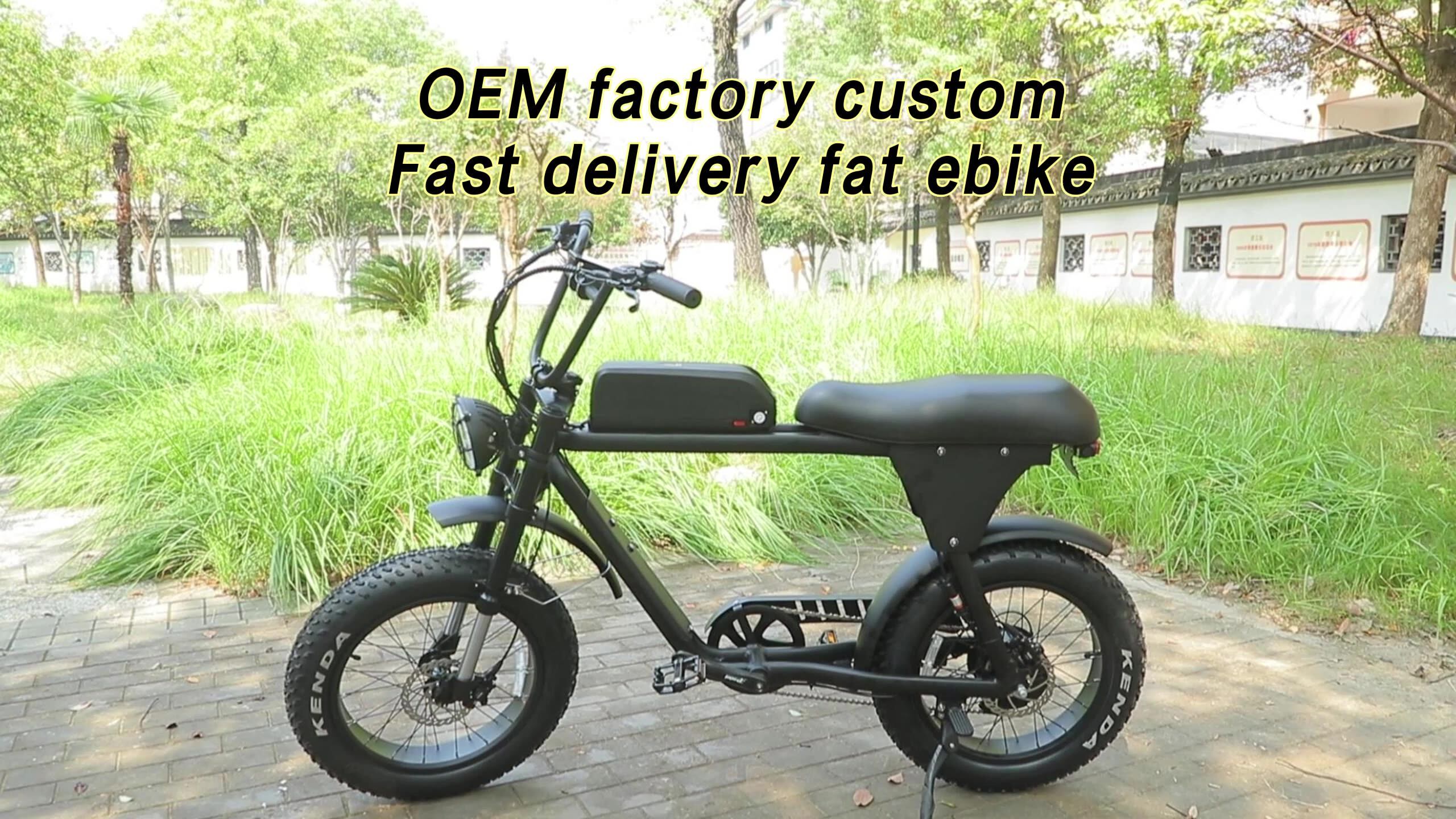 Step Over Style Fat Electric Bike With Bafang 1000w 1200w Motor Fat Boy ...