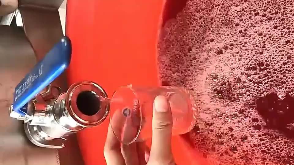 2022 100l Industrial Hydraulic Fruit Vegetable Filter Press Juice ...