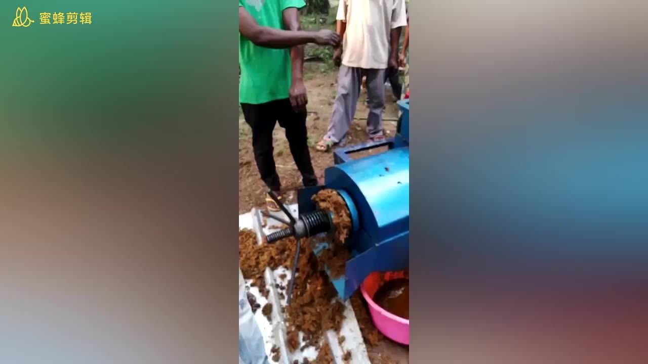 Diesel Powered Palm Oil Press For Small Palm Farms,5 Tons Per Day Palm ...