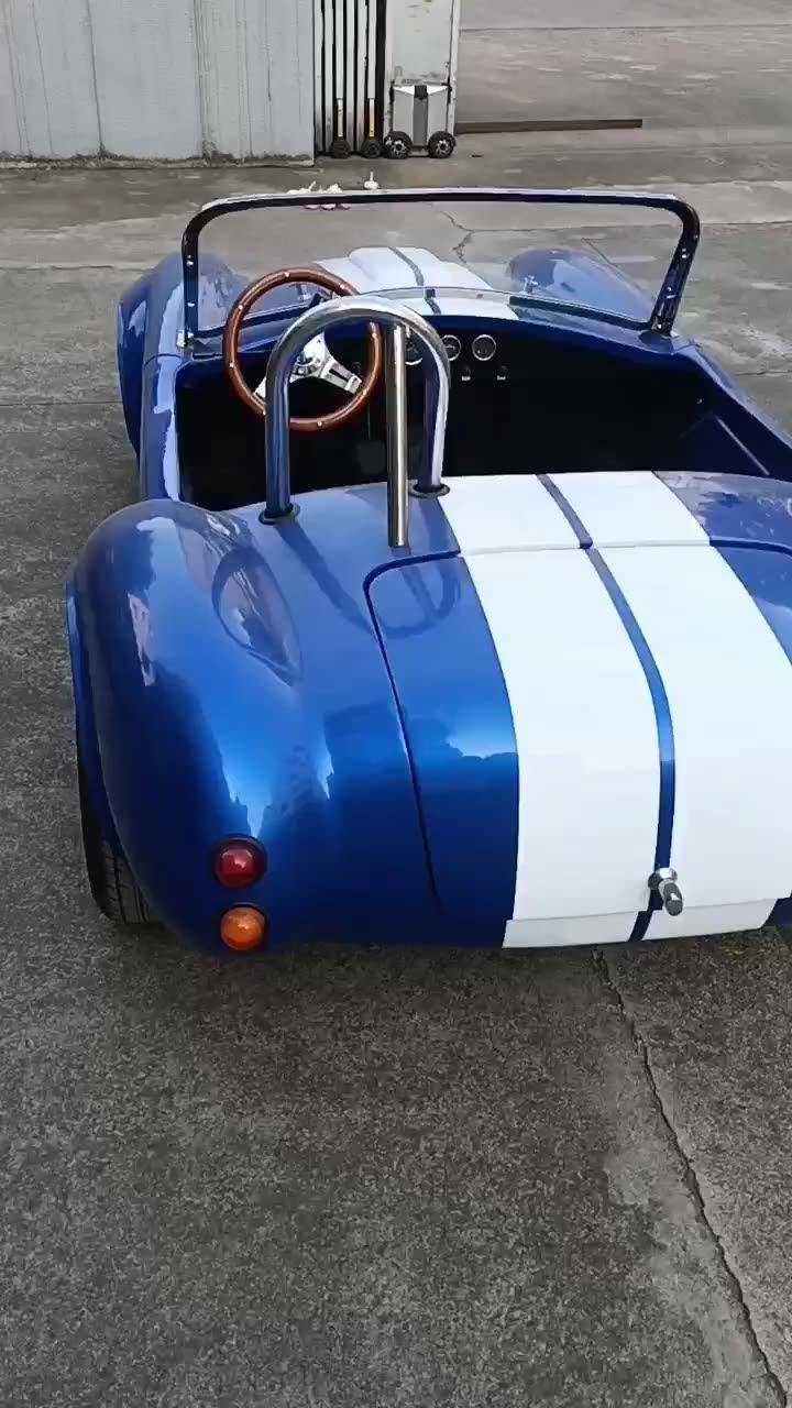 Customizable Mini Cobra Car Easy Drive Mini Car Electric Gasoline All ...