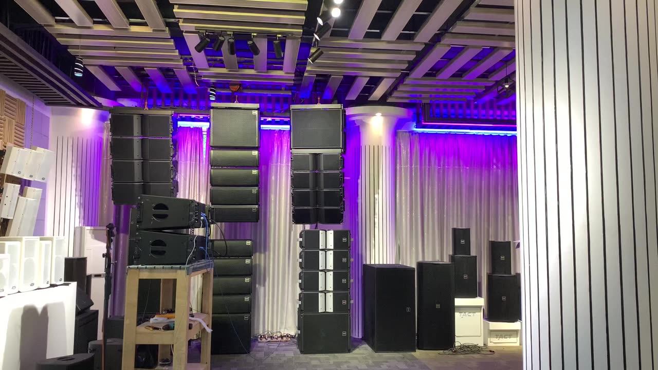 Tact Professional Double 8 Inch Line Array For Outdoor Activity Or ...