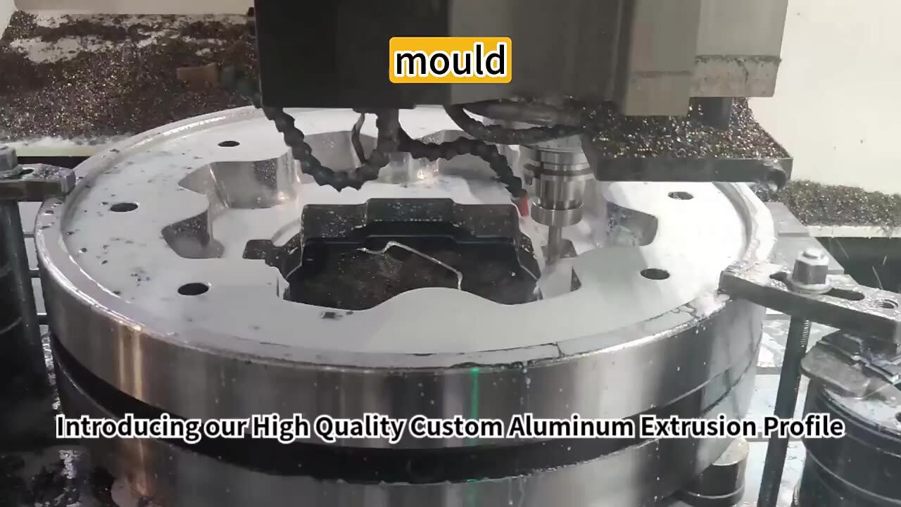 High Quality Custom Multi-cavities Aluminum Extrusion Profile Die/mould ...