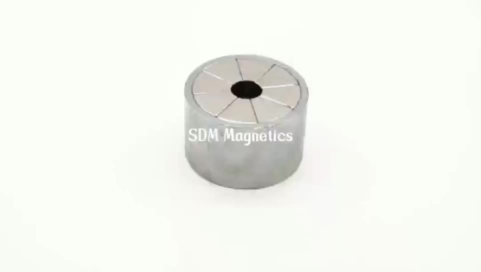 1 Tesla N52 Grade Neodymium Segment Halbach Array Permanent Magnet ...