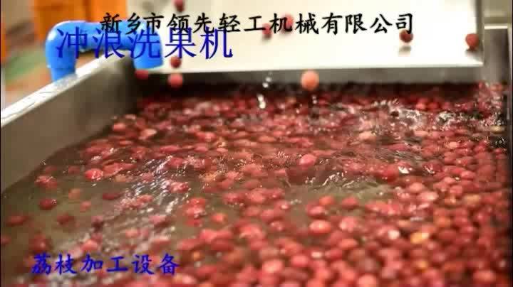 Advanced Automatic Lychee/litchi Peeling Machine Shell Peeler - Buy ...