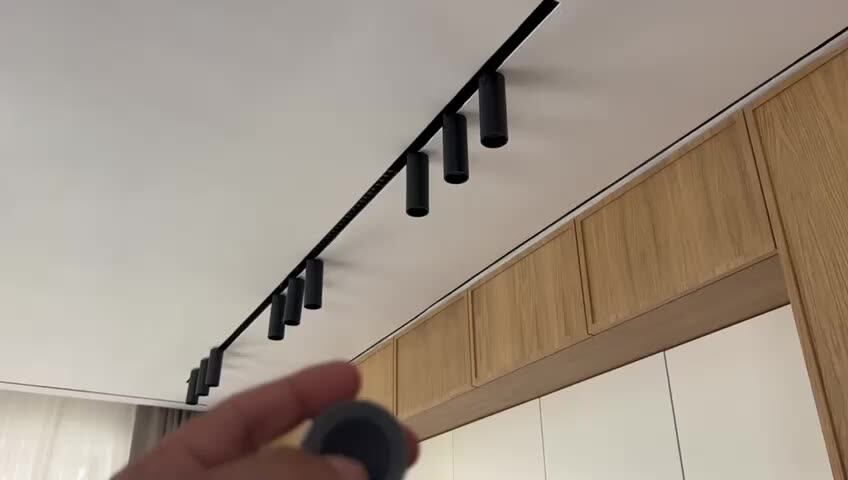 M20 Series Cct Tunable Magnet Track Lighting System Recessed Trimless ...