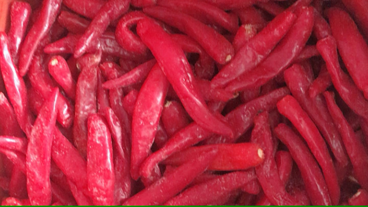 Bulk Iqf Frozen Red Chilli Pepper - Buy Frozen Red Chilli Pepper,Iqf ...