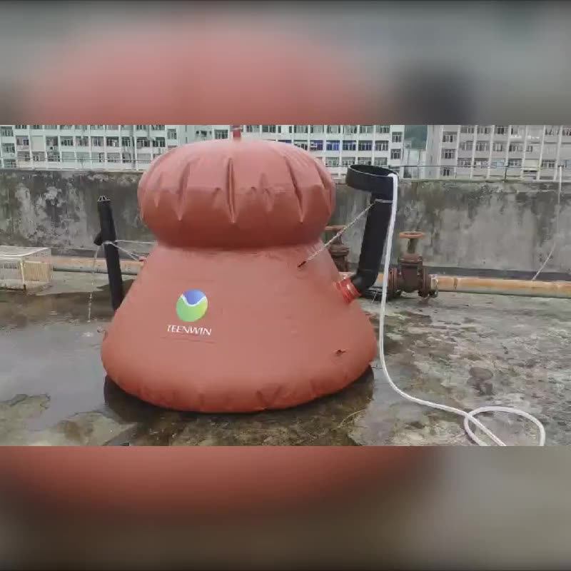 Teenwin Biodigester Biogas Plant Digester Kit Portable Biogas Plant For ...