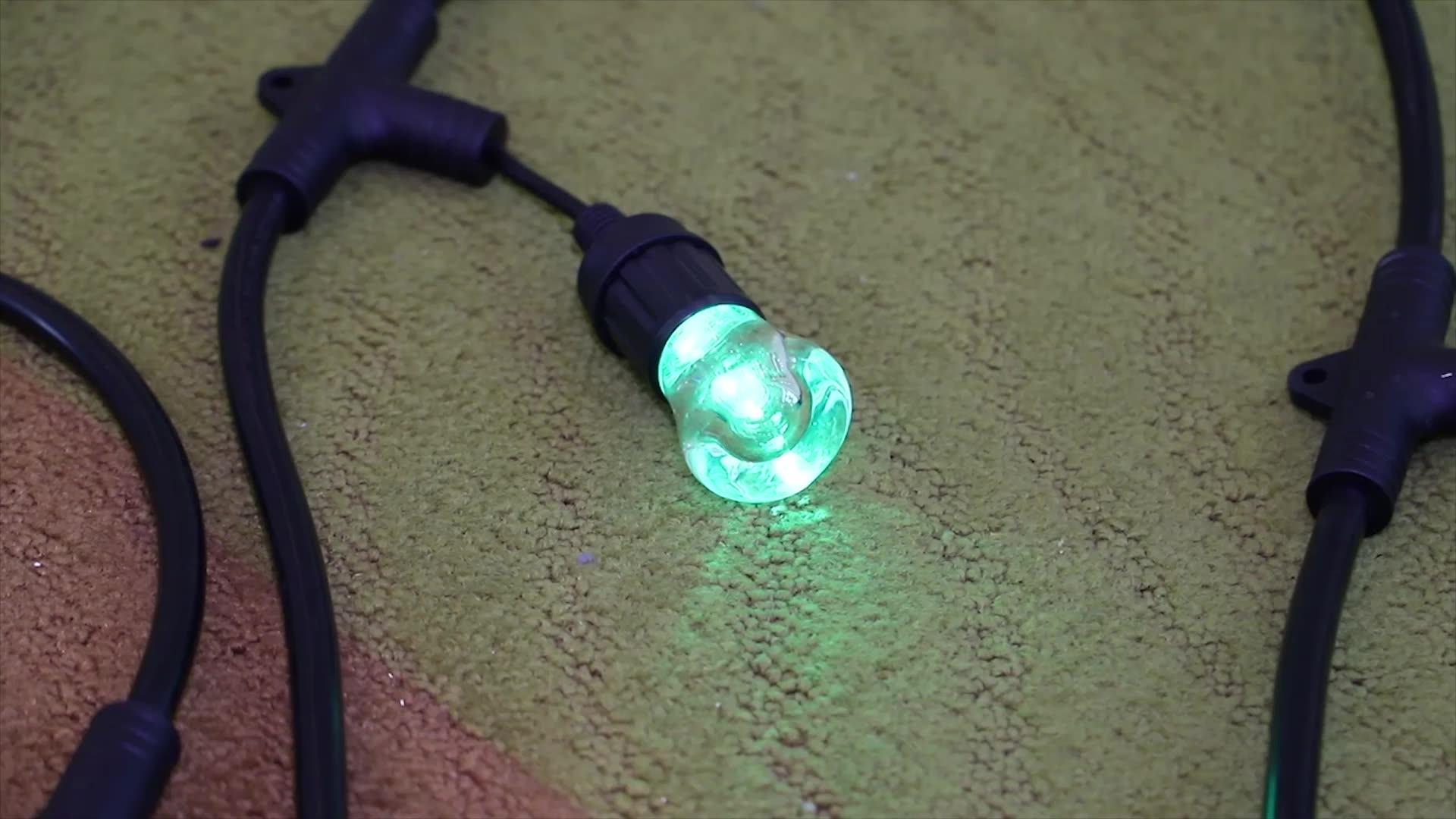 Tuya Smart Rgb 48ft 24 Bulbs Led String Lights Waterproof Christmas Pvc ...