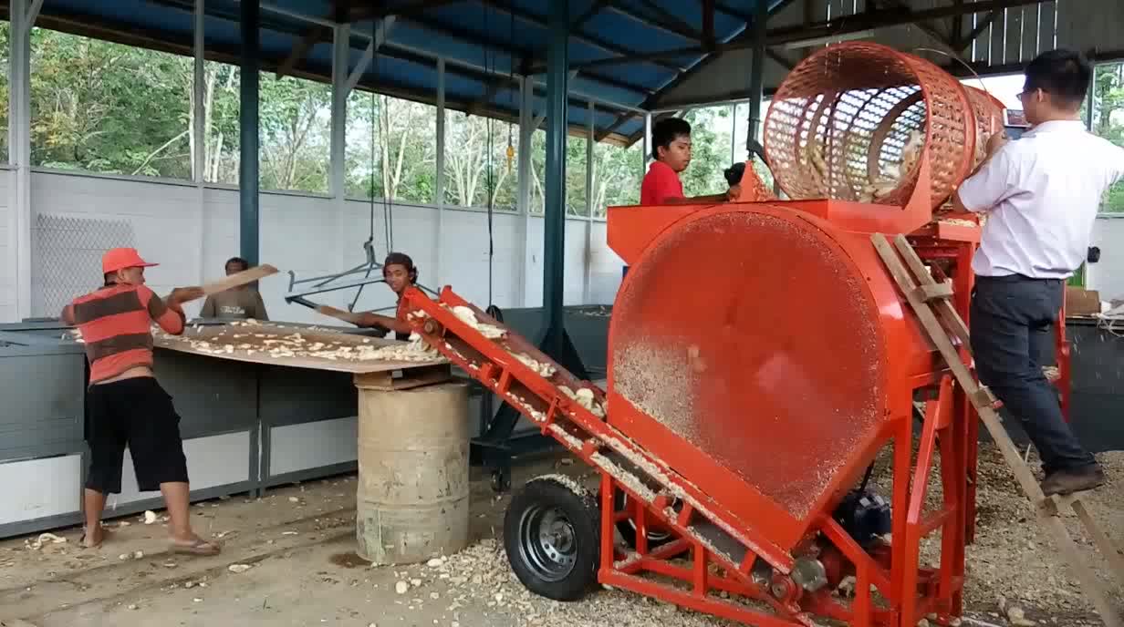Worldwide Using Products Cassava Chipper Cassava Chipping Machine Msu Pc For Cassava Chips
