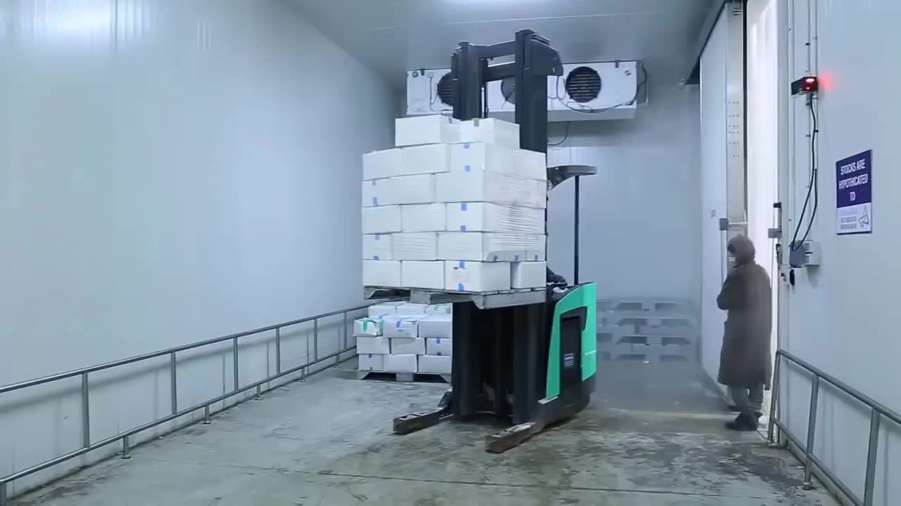 Frozen Meat Halal Fresh Chicken Fillets Industrial Cold Storage In ...