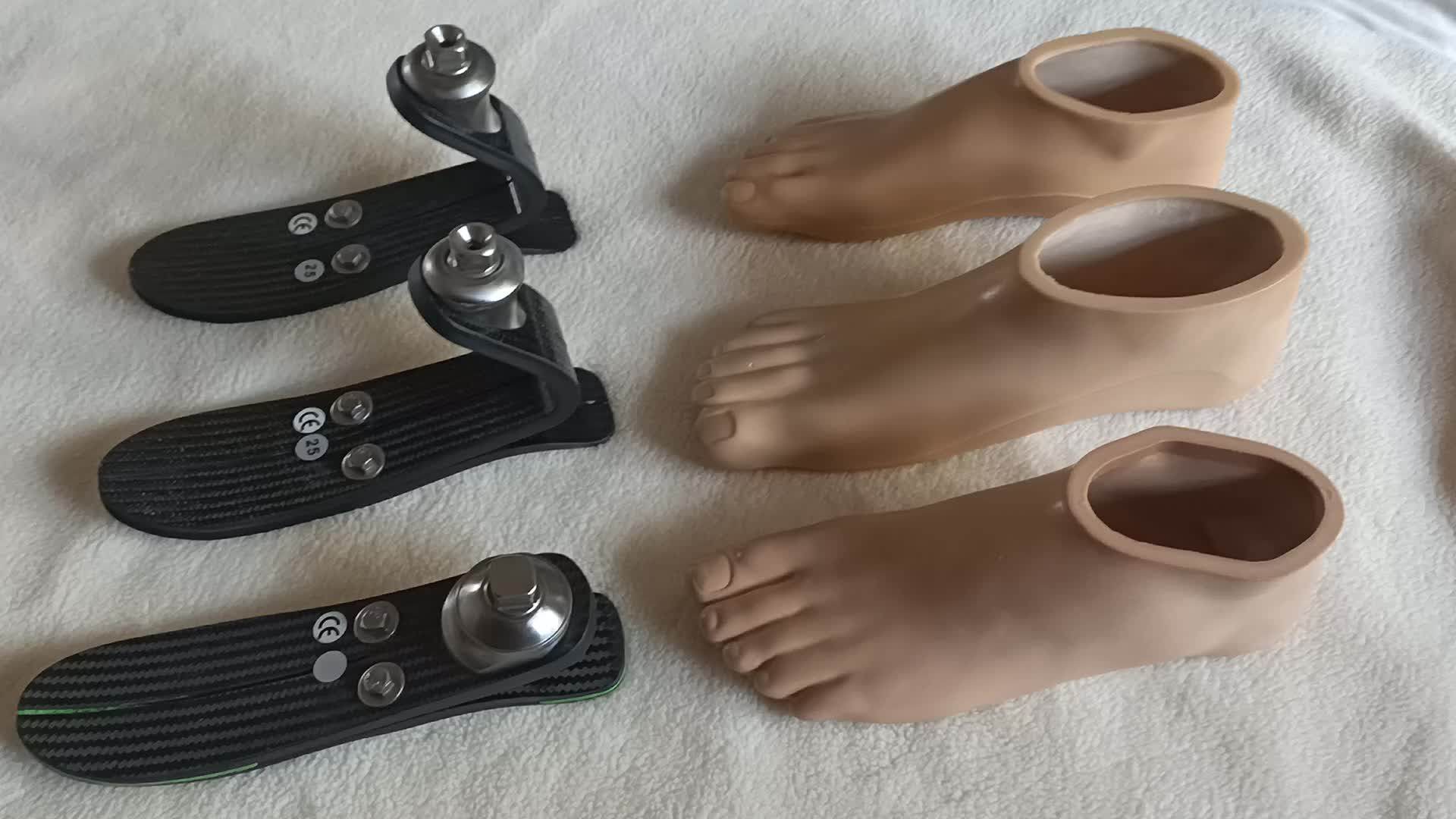 Dynamic-ankle Double-sole Carbon Fibre Artificial Foot,Foot Prosthesis ...