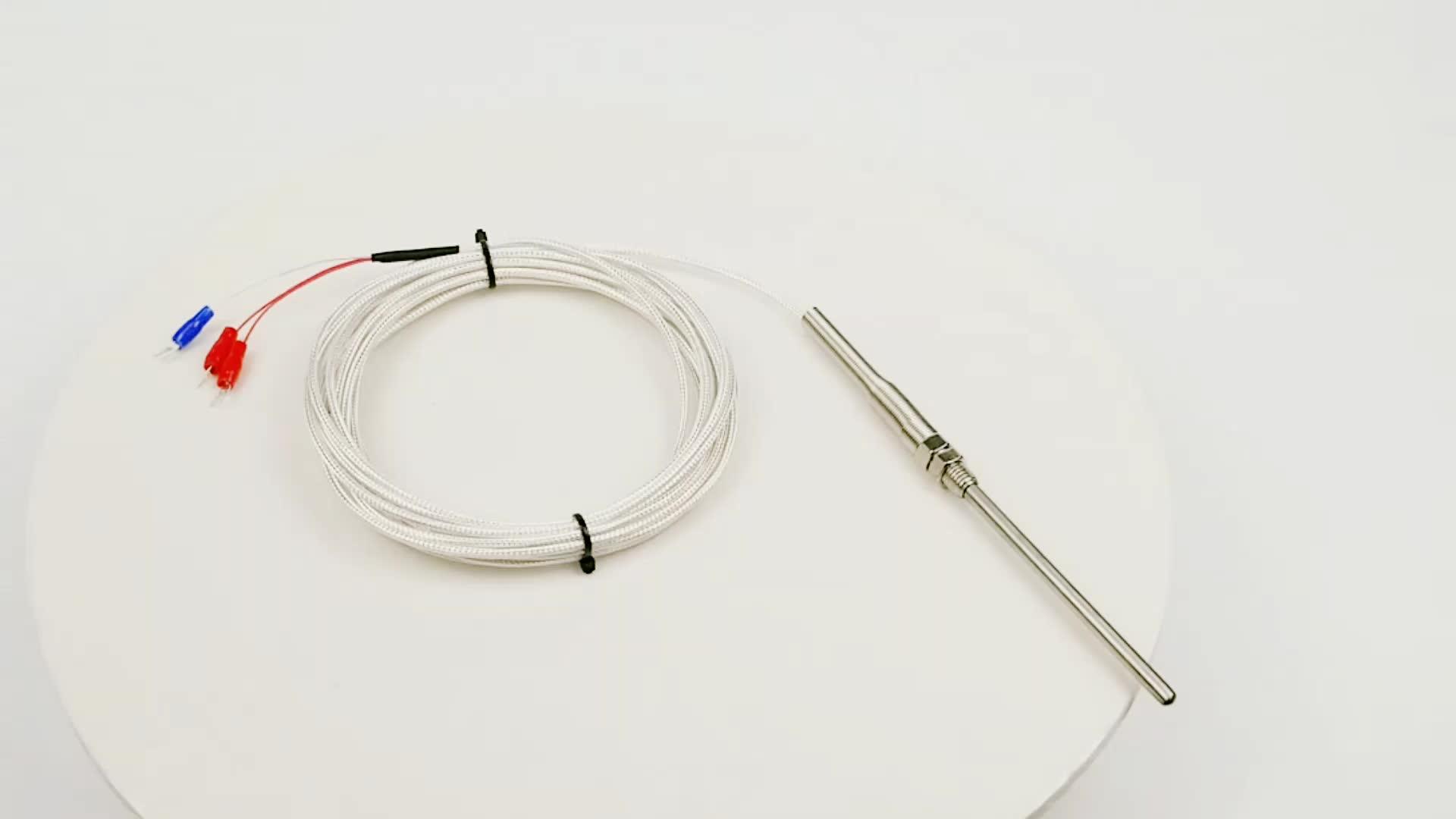 Industrial 6mm Thermocouple Duplex Rtd Pt100 Sensor - Buy Duplex Rtd ...