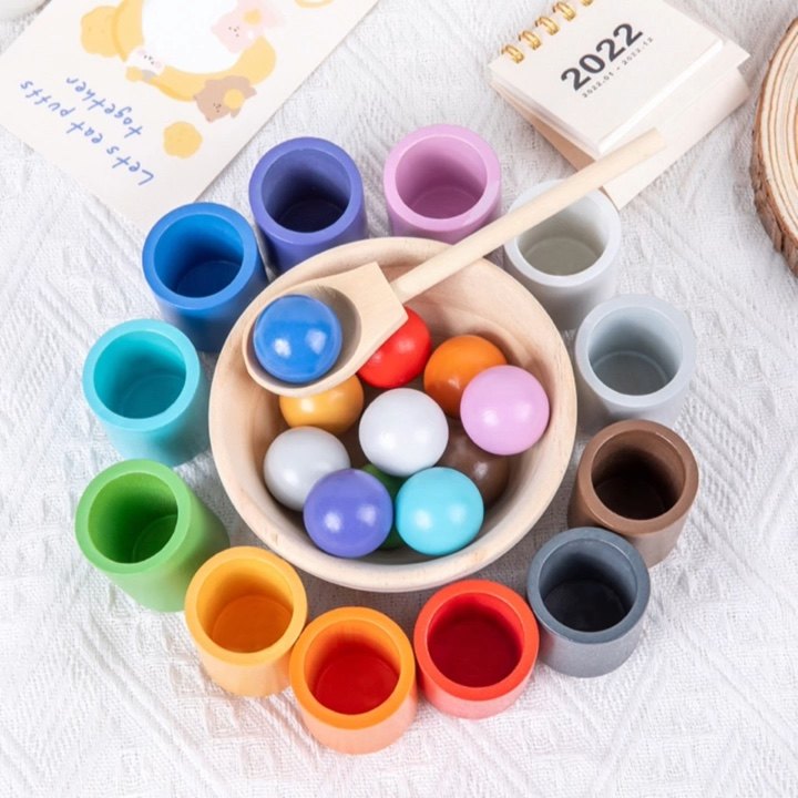 Color Sorting And Counting Balls In Cups Montessori Toy Wooden Sorter ...