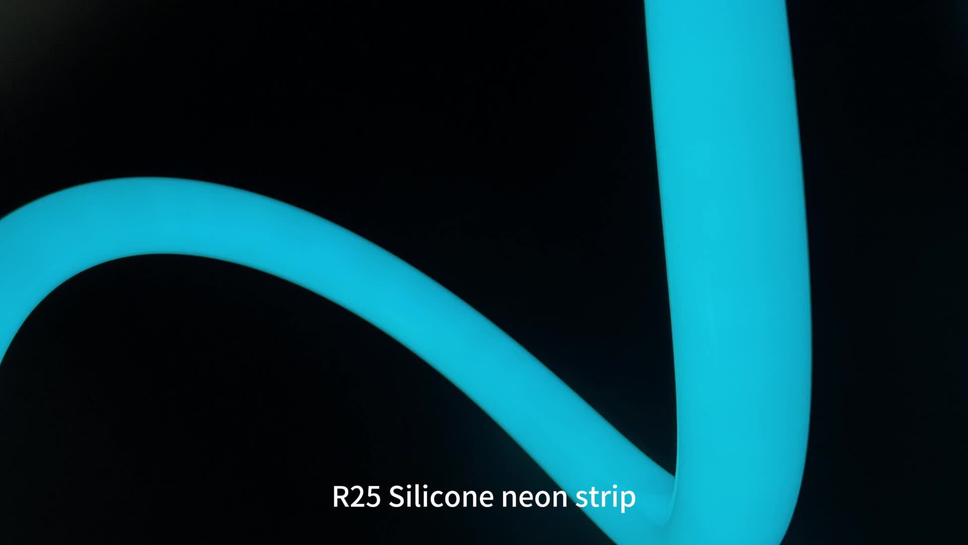 Hot Selling 360 Uniform Luminescence Diameter 25mm Silicone Neon Strip ...
