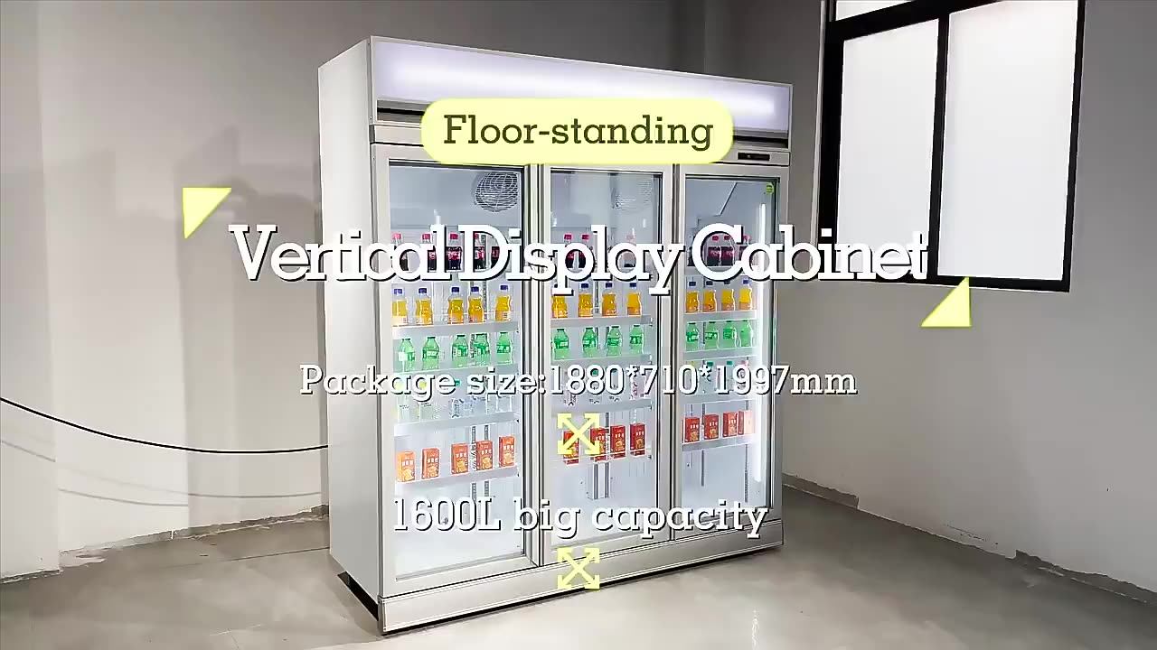 Commercial Upright Freezer Frozen Food Ice Cream Display Cabinet Side ...
