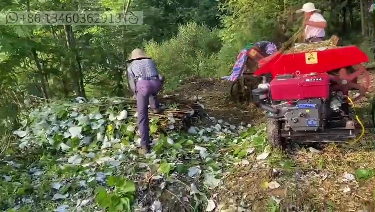 Farmer Philippines Abaca Fiber Decorticator Ramie Sisal Fiber Extractor ...