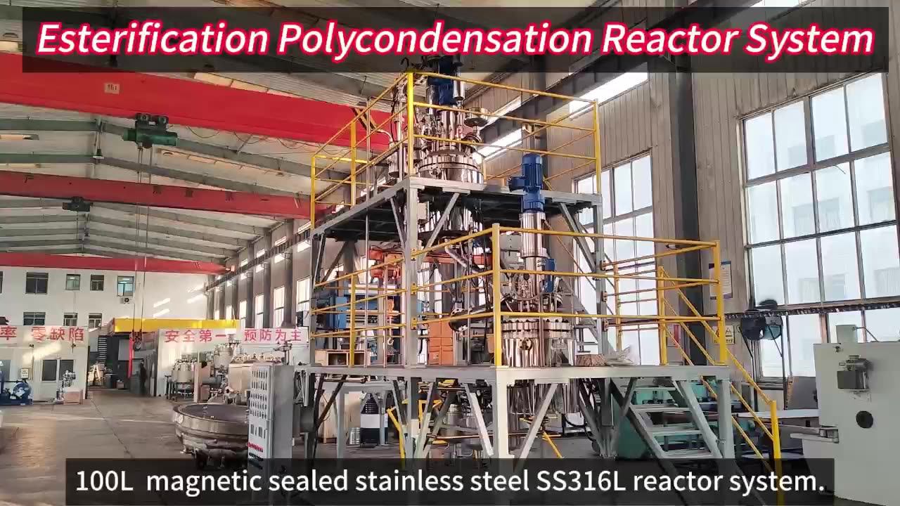 Whgcm New 100l Reactor System Stainless Steel Esterification Pilot ...