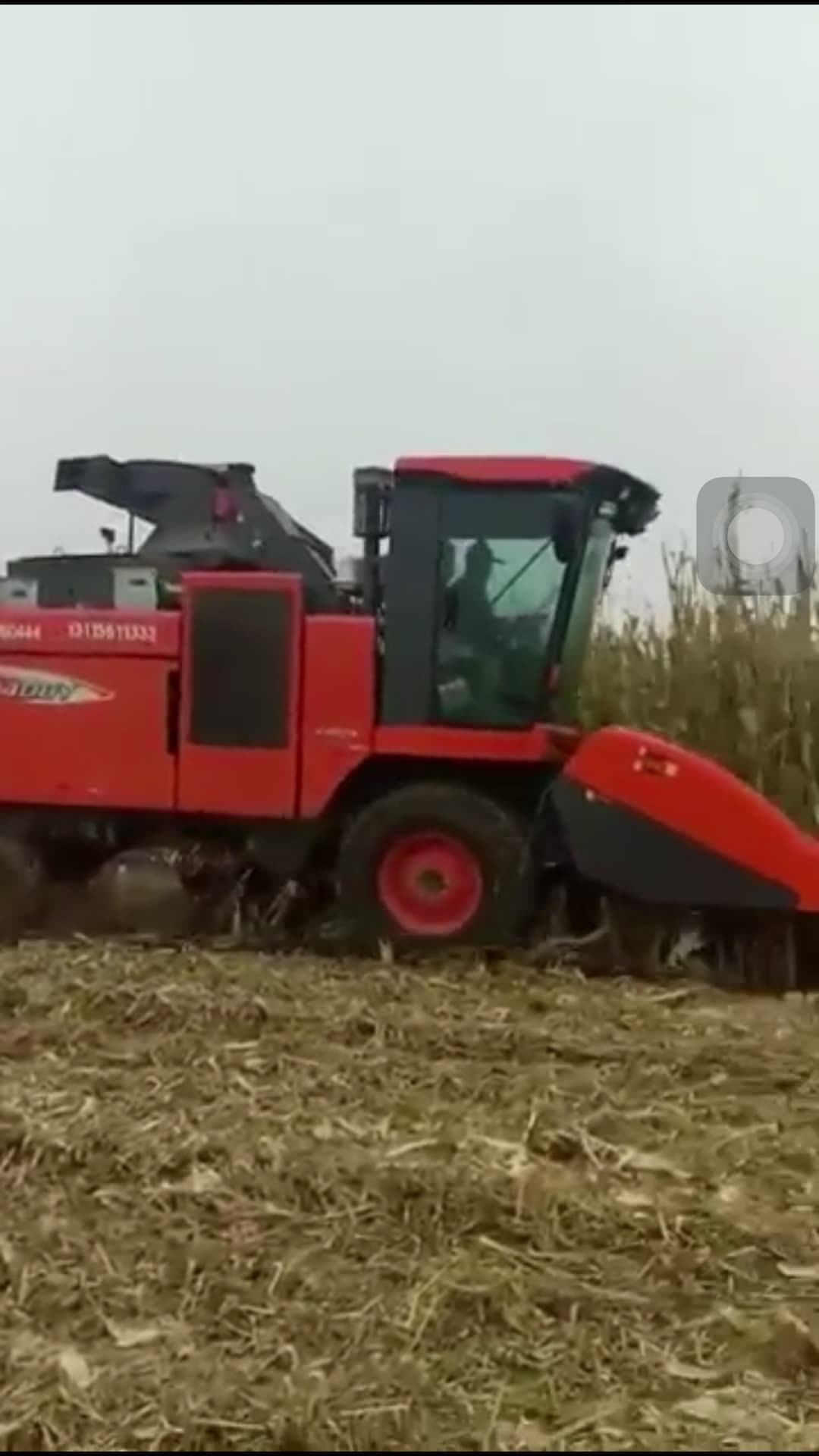 High Yield Maize Reaping Machine /3 Row Corn Harvesting Corn Harvester ...