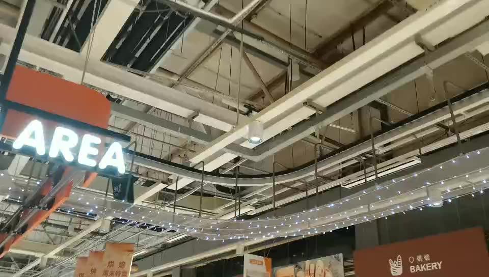 Industrial Overhead Hanging Line Suspended Chain Conveyor - Buy ...