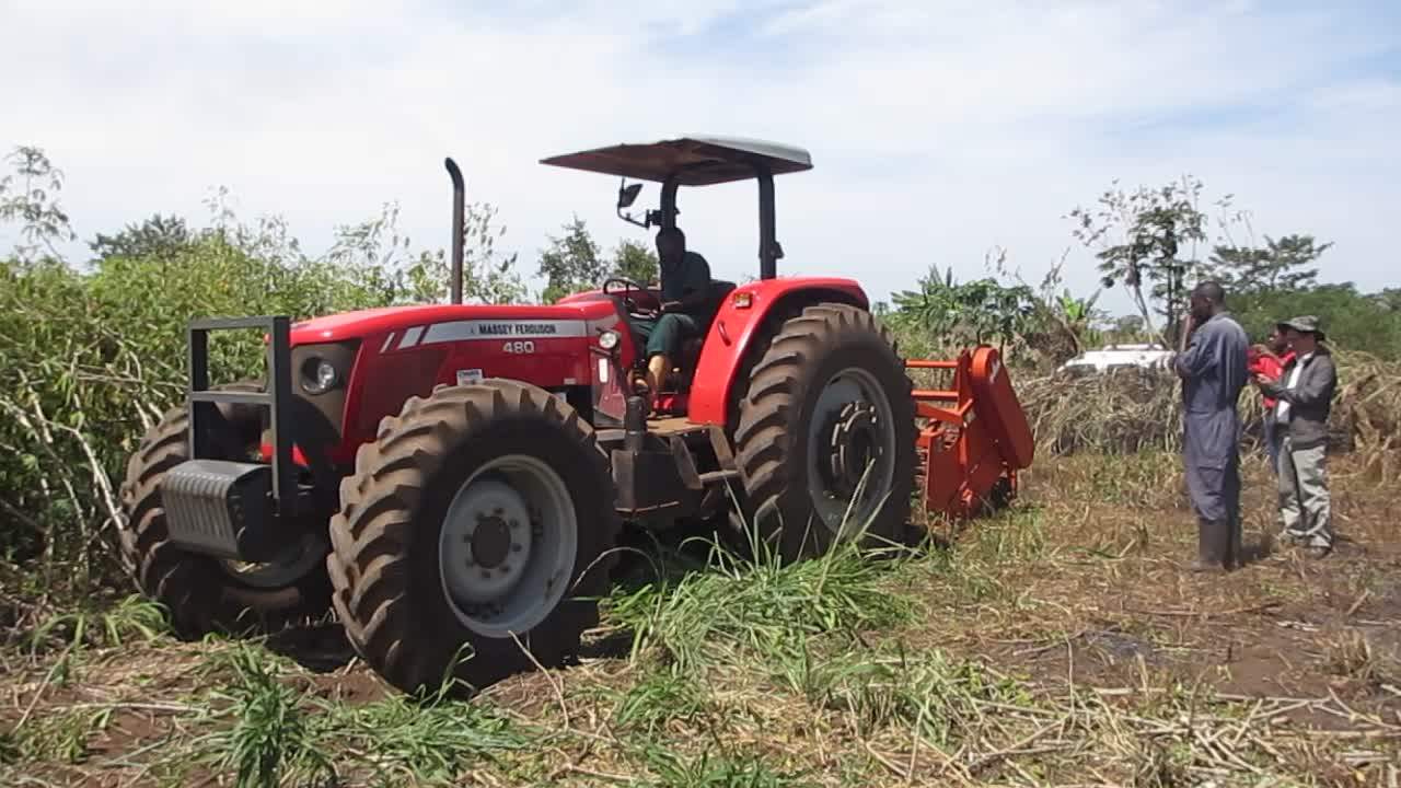 Cassava Harvester/cassava Harvesting Machine/sale In Nigeria Cassava ...