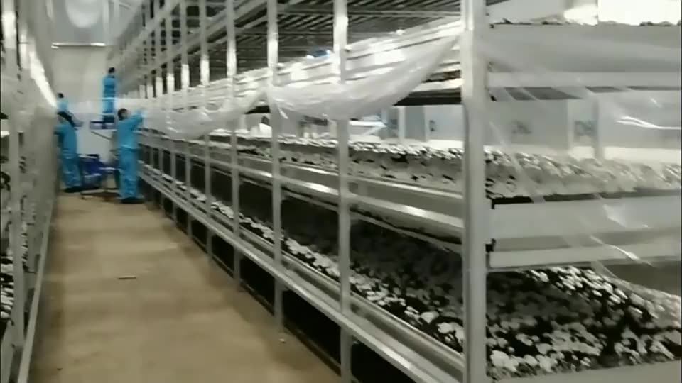 Mushroom Rack Shelves Aluminium Cultivation Growing Farm Shelf - Buy ...