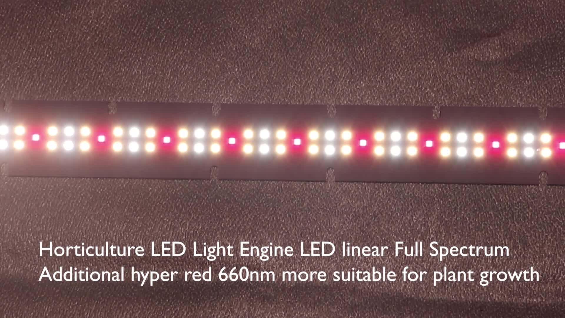 Horticulture Samsung Lm301h 3500k Led Strip Builds Diy Lm301b Light ...