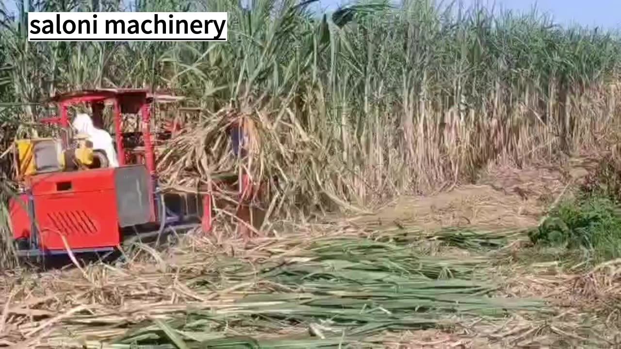 Hot Sale Sugar Cane Cutting Machine High Productivity Farm Combine ...
