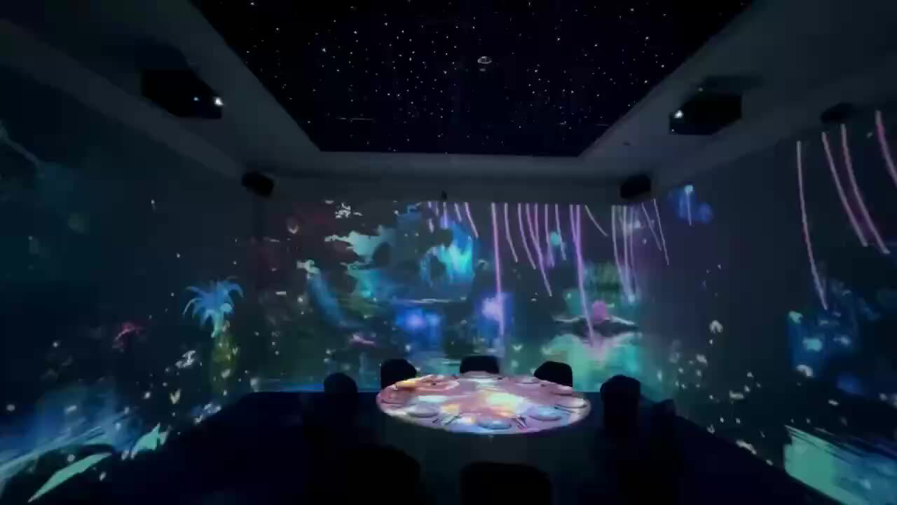 Shooting Star Effect Star Ceiling Systems For Home Cinema,Nightclub ...