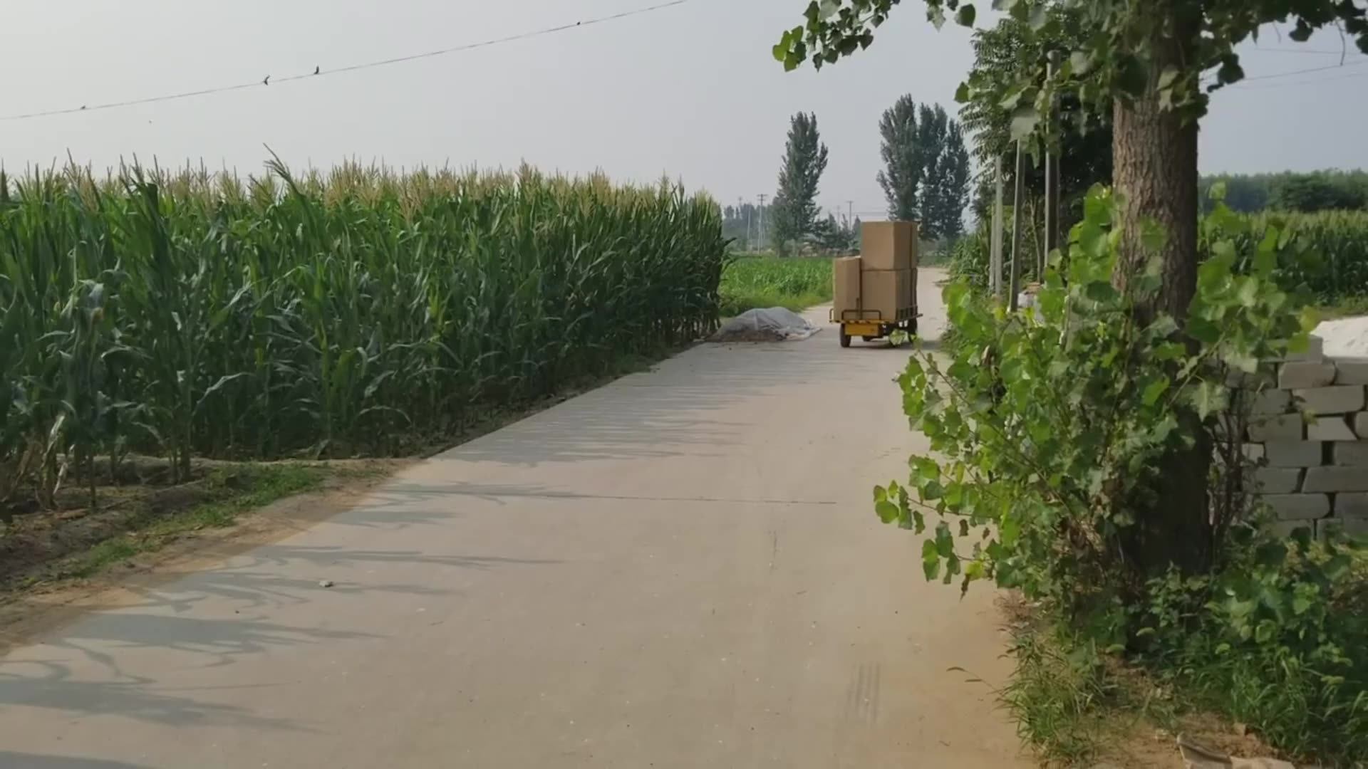 Large Size 1000kg Flat Electric Trolley Cart For Short-distance ...