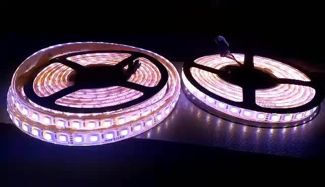 Ip68 Waterproof 24v Dc 5050smd Rgbw 4in1 Led Strips Light 72leds/m ...