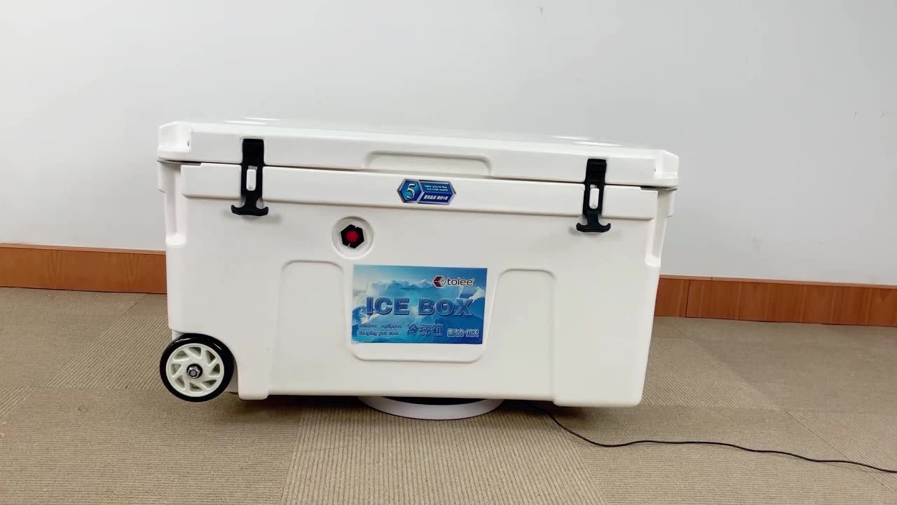 Chest Cooler Box Tolee Design Outdoor 40lcold Ice Food Cartoon ...