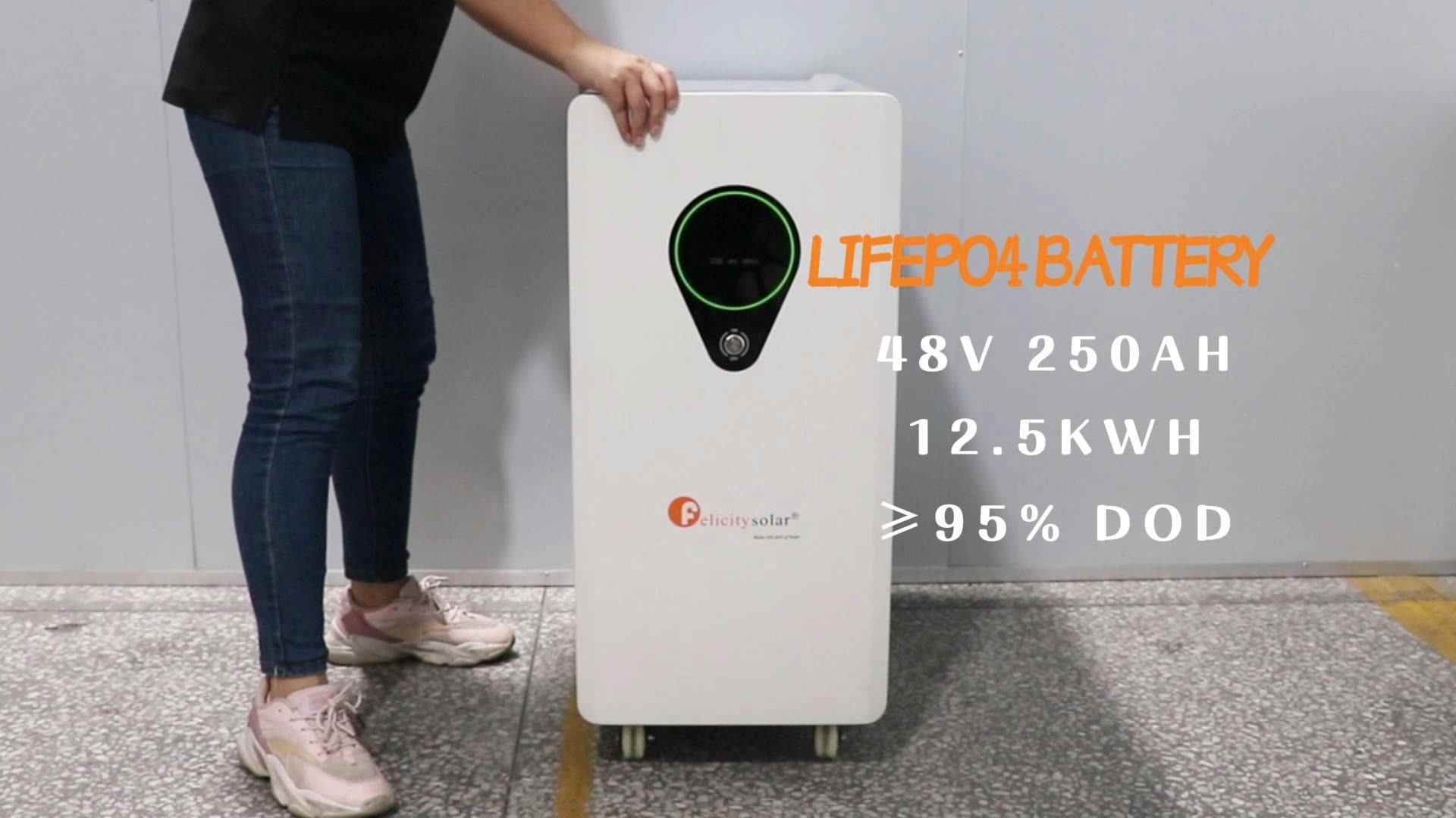 Felicity Solar 48v Lipo Battery Industrial Battery Oem Odm For Iraq ...