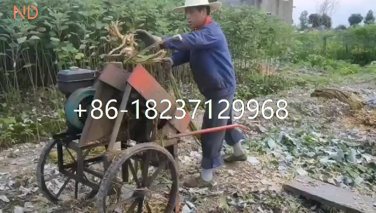 Philippines Abaca Fiber Decorticator Ramie Sisal Fiber Extractor ...