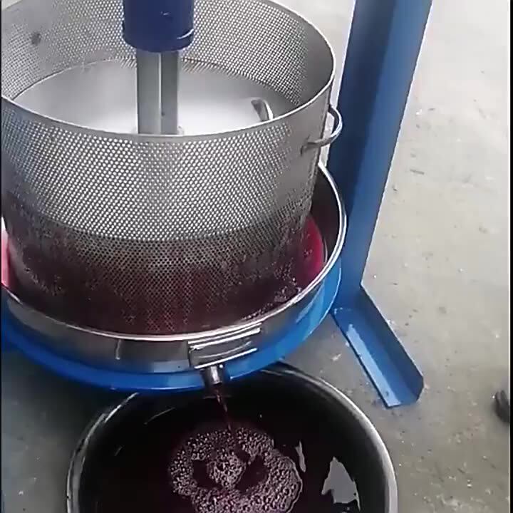 Home Commercial Hydraulic Cold Press Squeezer Machine For Pure Juice Juicer Vegetable Lemon ...