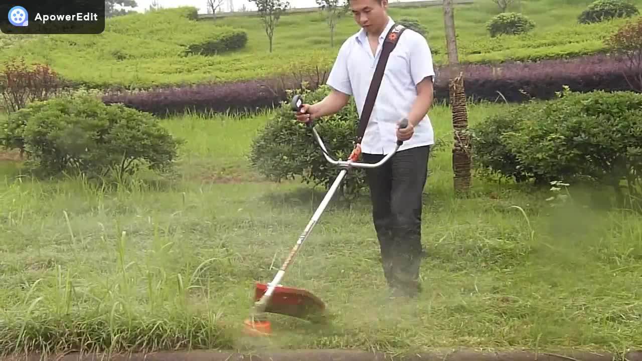 Brush Cutter 43cc Hand Held Grass Trimmer With Ce,Gs,Eu2 - Buy Brush ...