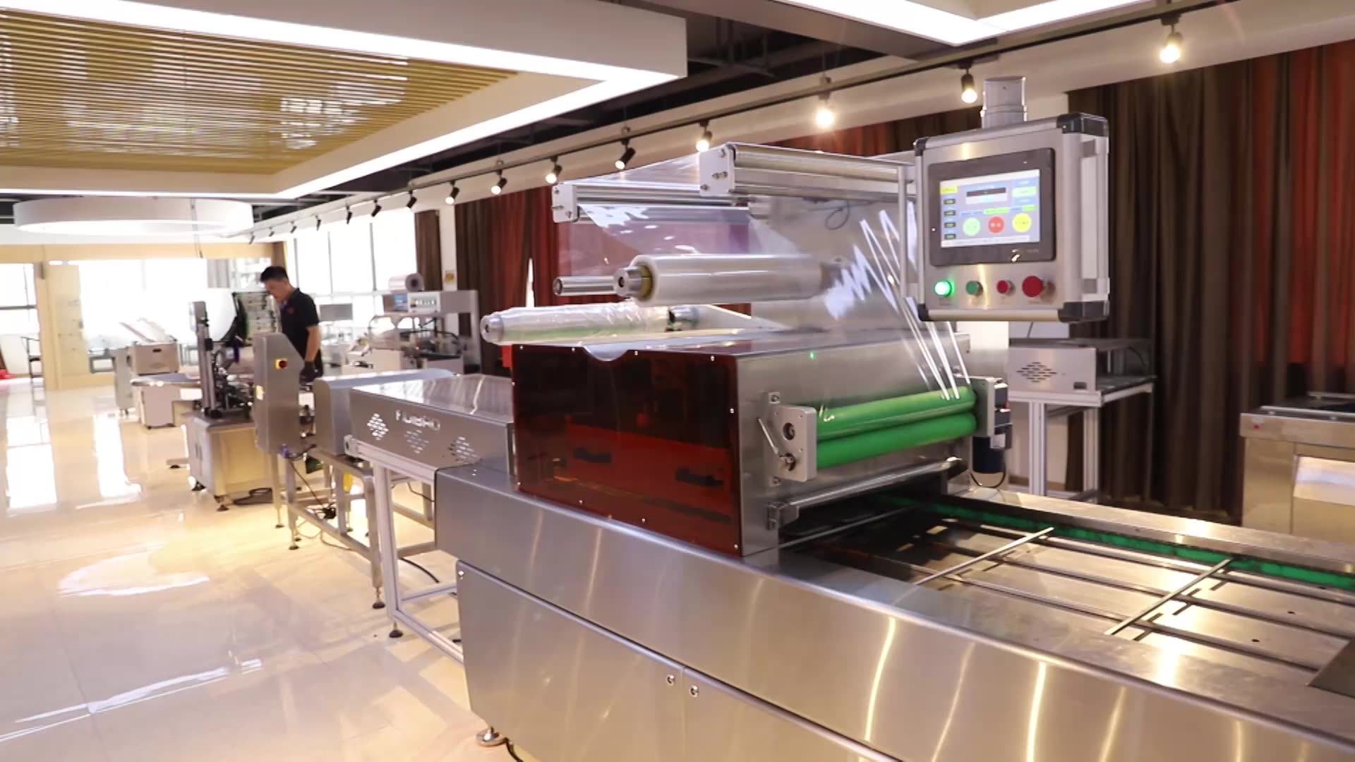 Multi Functional Automatic Vsp Fish Skin Vacuum Packing Machine Seafood ...