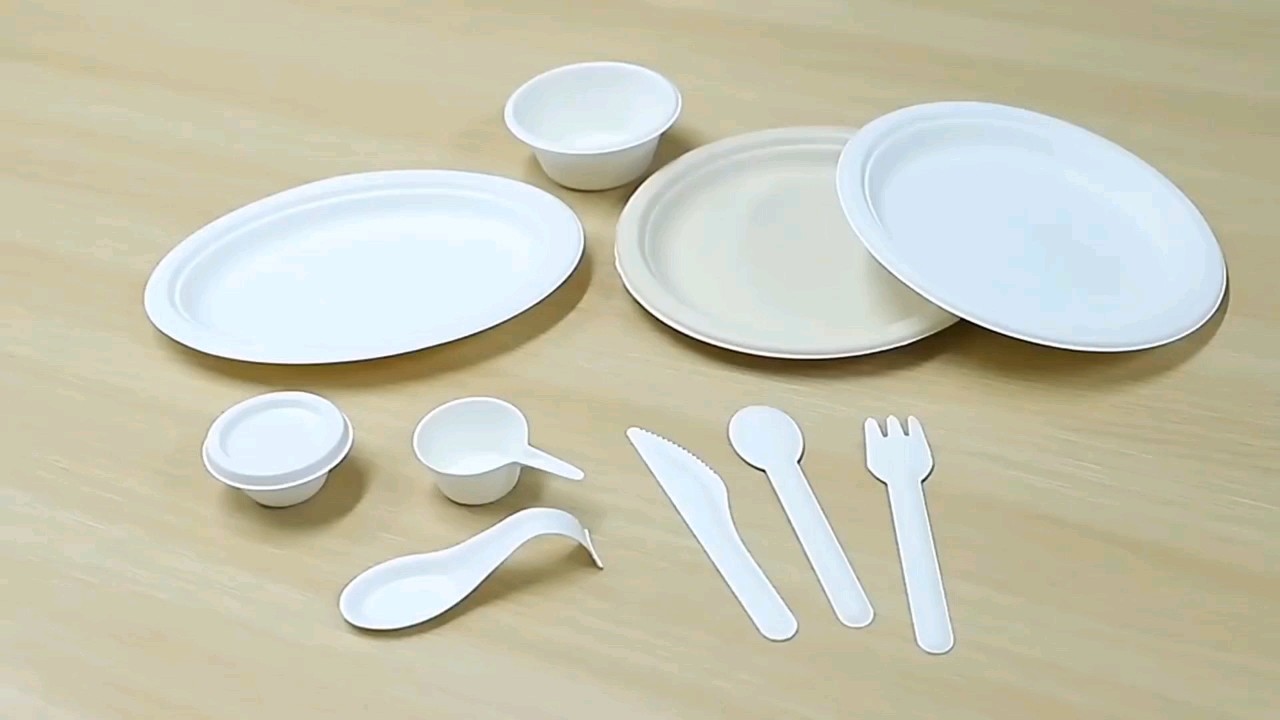 Small Bagasse Tasting Plates For Snack Dessert Durable All Natural ...