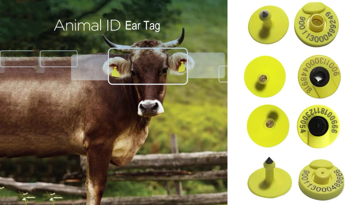 1342khz Rfid Animal Cattle Numbering Qr Code Ear Tag For Cow Goat ...