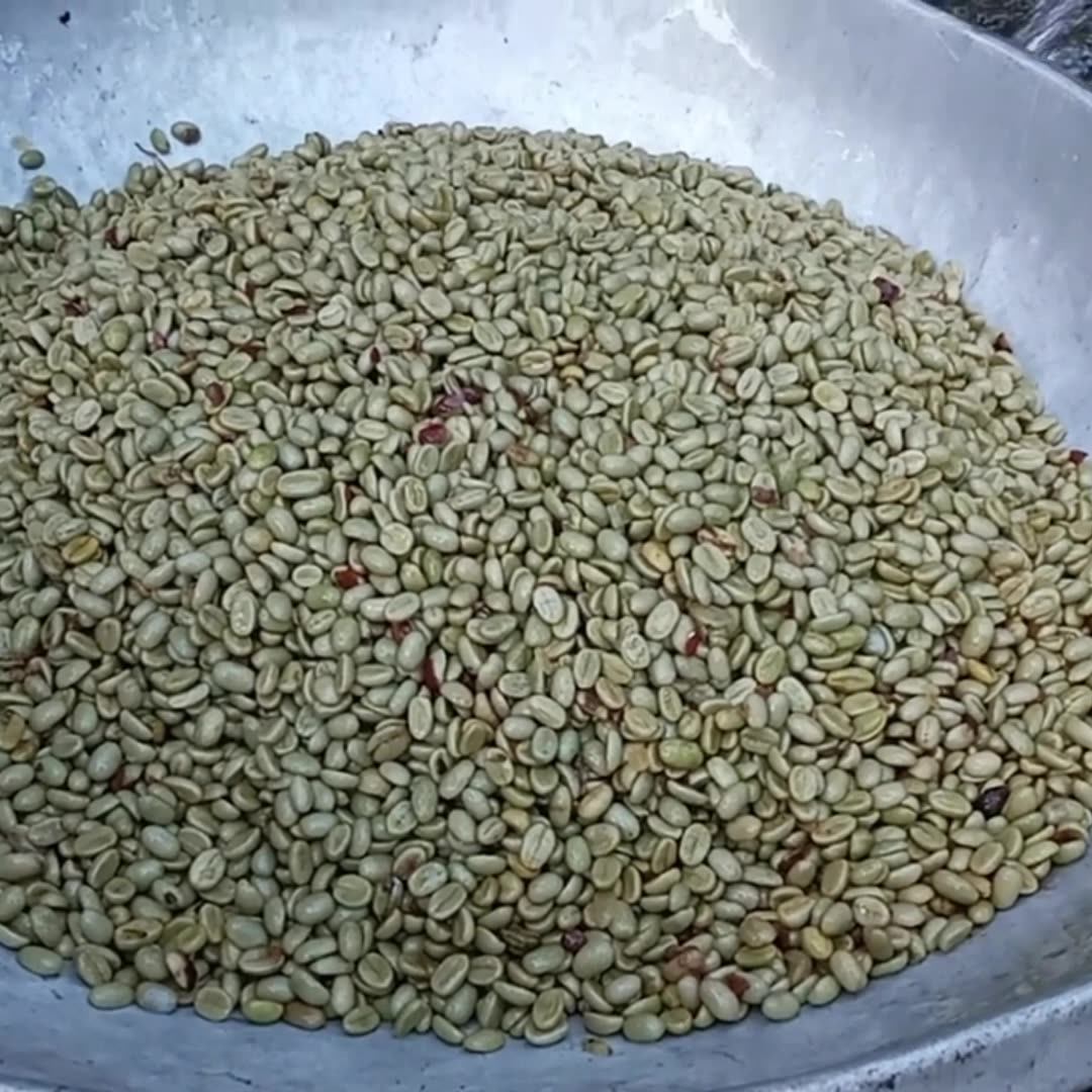 Specialty Arabica Coffee Beans Clean - High Quality Strong Flavor Green ...