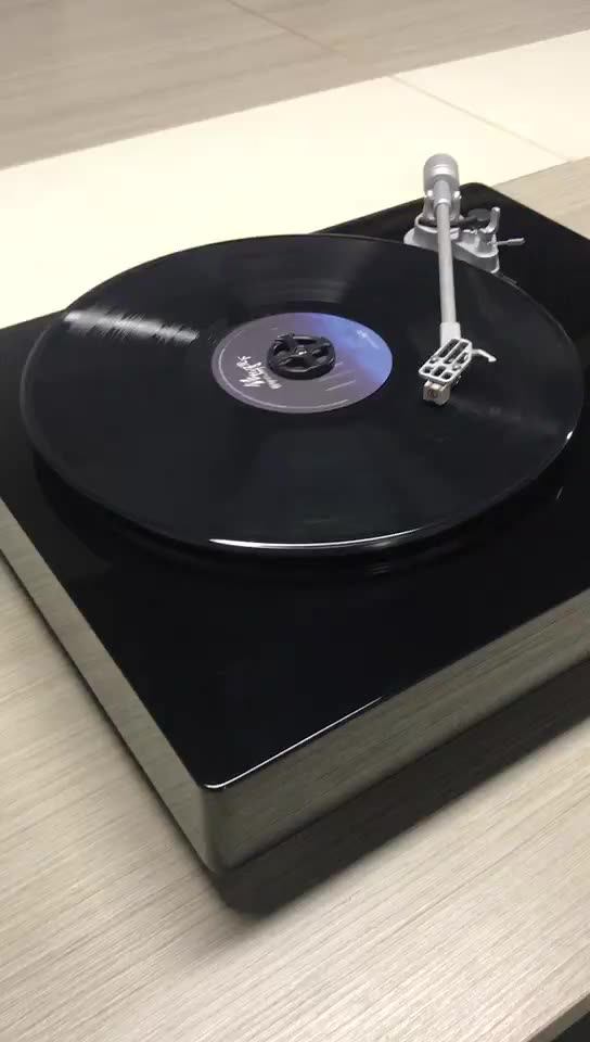 Metallic Turntable With Magnetic Cartridge Belt Drive Classic High ...