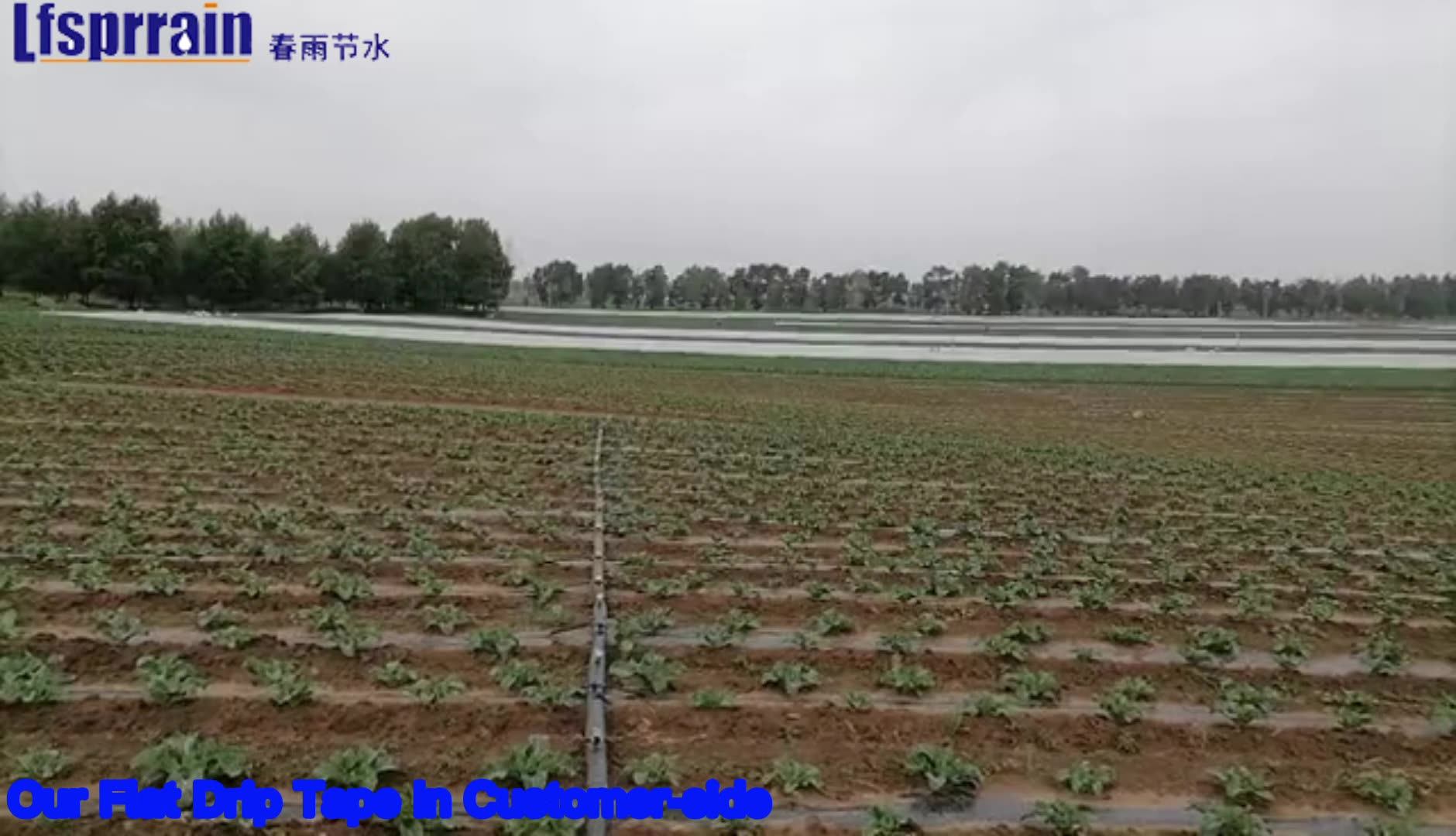 1 Hectare Drip Tape Irrigation System For Onion Water Saving Irrigation ...