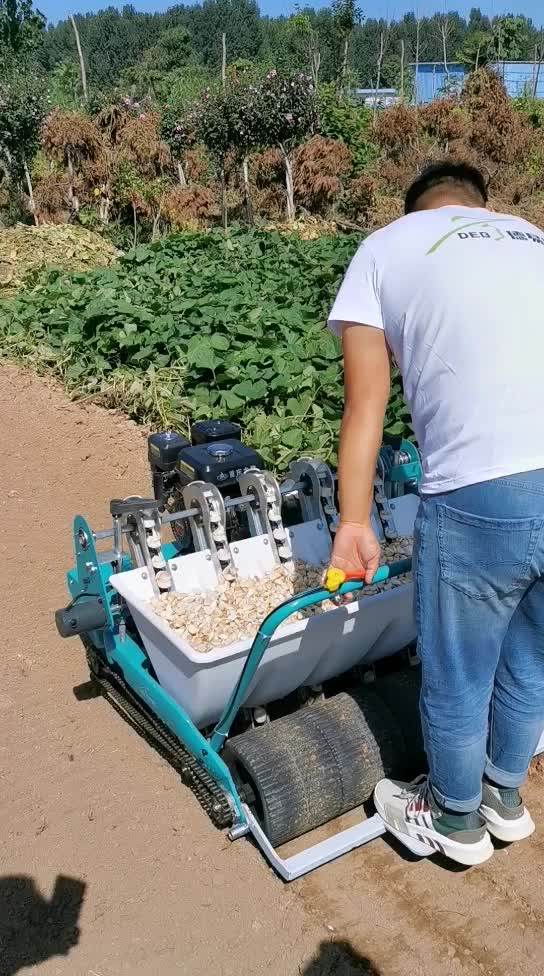 Mini Sowing Machine 5 Row Garlic Planting Seeder - Buy Garlic Sowing ...